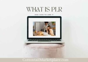 What is PLR and How do I Use it? – Cottontail Marketplace